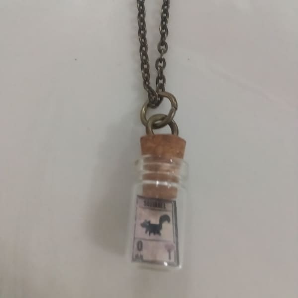 INSCRYPTION Necklace Card in a Bottle Squirrel Black Goat Boulder ...