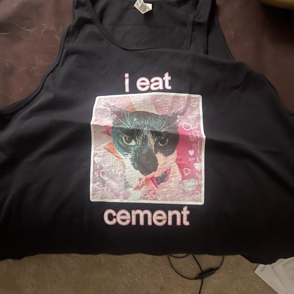 Forklift Certified Cute Cat Unisex Pullover Hoodie - Etsy