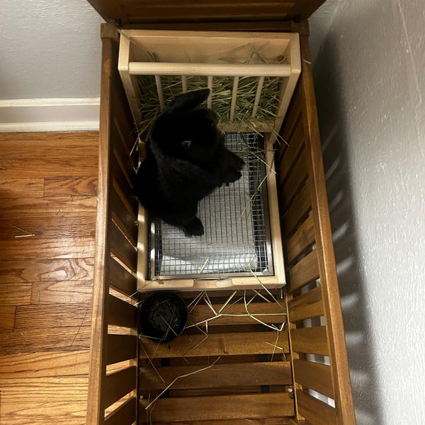 Stainless Steel Scatterless Litter Box With Wood Hay Feeder Food Stand ...