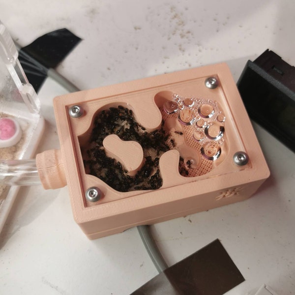 The Queen Drawer V2 - Store Your Ants Neatly! - Etsy