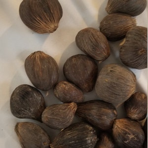 21 Ikines 4 Eyes ~ Ifa African Palm Nuts - Etsy