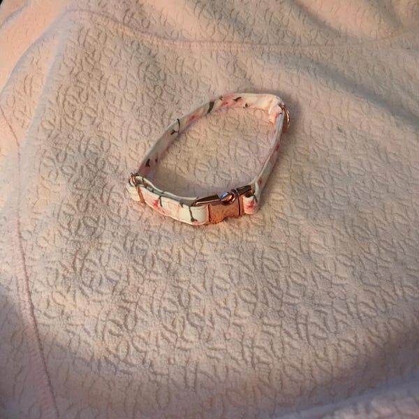 Pink Dog Leash, Herringbone Dog Leash, Girl Dog Leash, 6 Ft Pet Leash ...