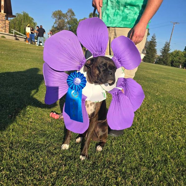 DIY Rave Flower Hat Template | Festival Costume | Cosplay & Raves - Etsy