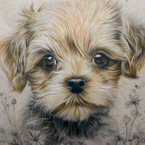 40 Cute Baby Animals Grayscale Coloring Pages Printable Adult Coloring ...