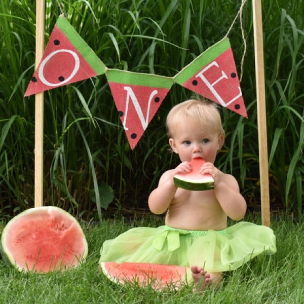 Watermelon Theme Party One in a Melon - Etsy