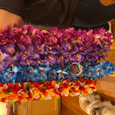 Hawaiian Koa Seed Lei Necklace Ipil Ipil Seed Lei BROWN Kukui Lei ...