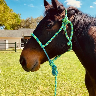 Turquoise and Lime Green Mule Tape Horse Halter - Etsy