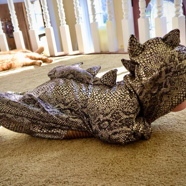 Designer Women One of a Kind Elf Set Costume, Corset Elven Dress ...