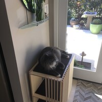 Etsy Design Awards Winner 2022 Rectangular Cat House Large - Etsy Canada