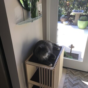 Round Cat House Modern Cat House Modern Cat Furniture Cat - Etsy