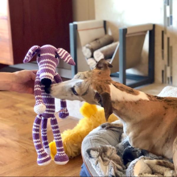 Greyhound Teddy - Crocheted Stuffed Toy Doll / Greyhound Lovers / Baby ...