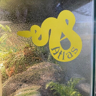 Customizable Name Ball Python Snake Vinyl Decal READ - Etsy