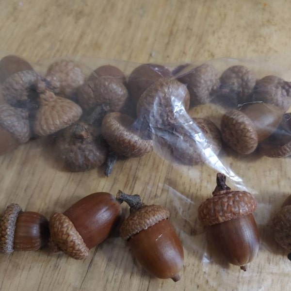 Acorn Key Ring - Etsy