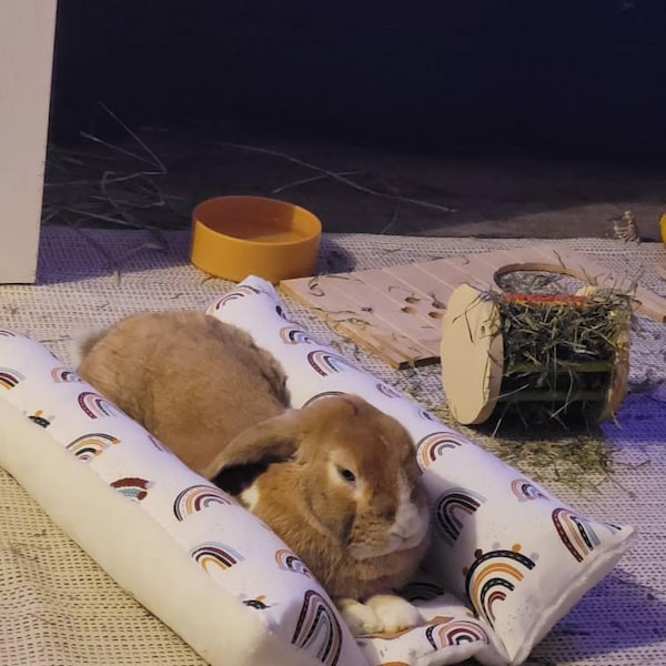 DIGITAL DOWNLOAD PLANS for Luxury Bunny Cubby | Rabbit Cat Home Base ...