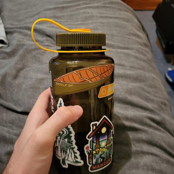 Outdoor Sticker Sheet, Cute Animal Vinyl Decal, Made in Canada, Camp Kitsch Aesthetic Waterproof ...