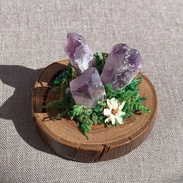 Rustic Fairy Garden Kit, Gift Box of Fairy Accessories, Natural Fairy ...