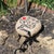 Pet Memorial Chinchilla Stone 5/6 or 7/8, Engraved Personalized Stone ...