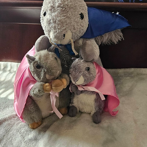 Superhero Mini Cape Party Pack | Sidekick Superhero Party Favor Capes ...