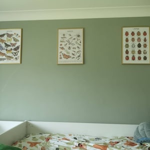 Female Reproductive System Busy Bundle Human Anatomy Printable Activity ...