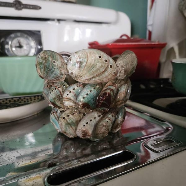 Red Abalone Art, Shell Wall Art, 3D Shell Art, Coastal Shell Art ...