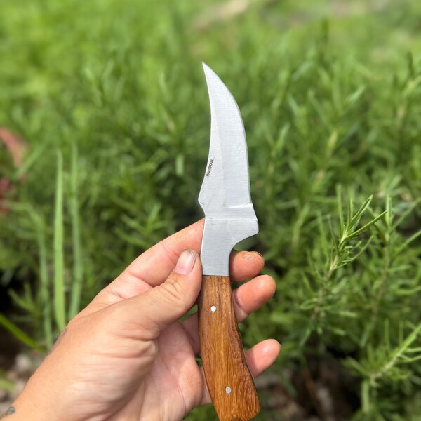 HERB KNIFE Boline With Belt Sheath Herbalist Tool Herbs Foraging Blade ...