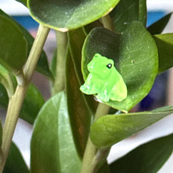 Cloud Shaped Rainbow Window Clings. Prism and Light Bending. Unique ...