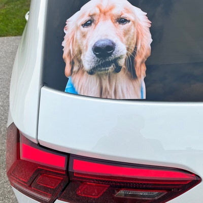 Custom Pet Sticker, Die-cut Dog Decals for Car, Cat Laptop Stickers ...
