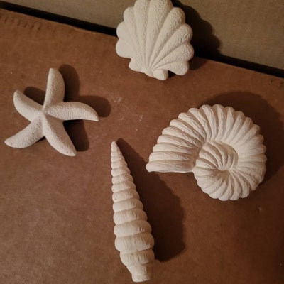 Unpainted Ceramic Bisque, Shell Container 2 - Etsy