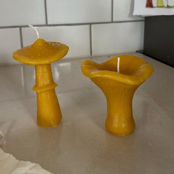 Morel Mushroom Candle Mold - Morchella Mushroom Candle Mold - True ...