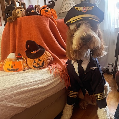 Custom Made Dog Cat Pet Pilot Captain Aviator Uniform Blazer Coat and ...