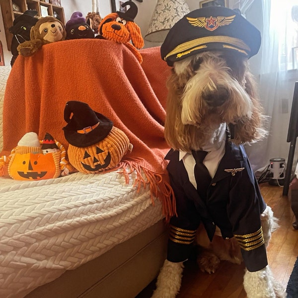 Custom Made Dog Cat Pet Pilot Captain Aviator Uniform Blazer Coat and ...