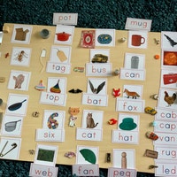 Pink Series 60 CVC Words Montessori Language Material Objects ...