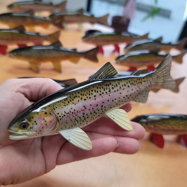 Realistic Trout 3 Pack (rainbow, Brown, and Golden) - Etsy