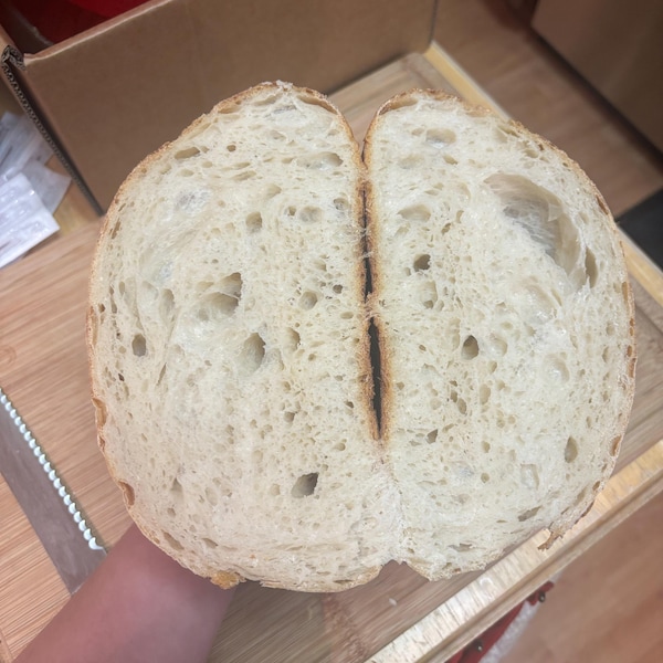 Beginners Basic Sourdough Starter Kit With Weck Tulip Jar, San ...