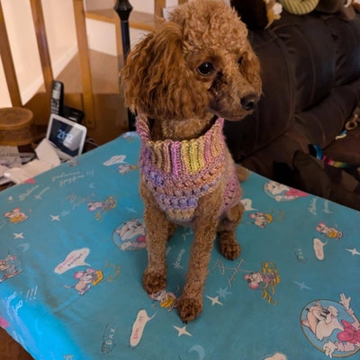 CROCHET PATTERN, Crochet Dog Jumper, Pet Tutu, Crochet Dog Sweater ...