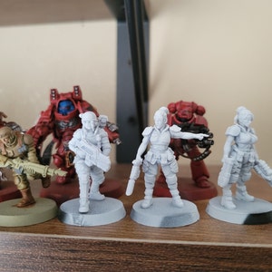 Felicia Statue Model Kit by Nomnom Figures - Etsy