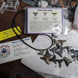 Make Yer Own Shark Art Kit Reef Shark 8x10 - Etsy