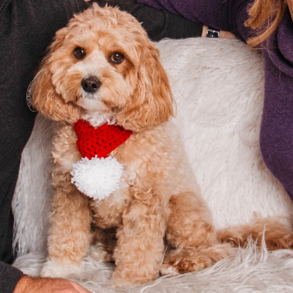 Christmas Dog Scarf With Pompom - Available in 4 Colour Schemes - Santa ...