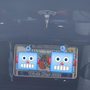 Replica the Blueberry License Plate psych TV Show - Etsy