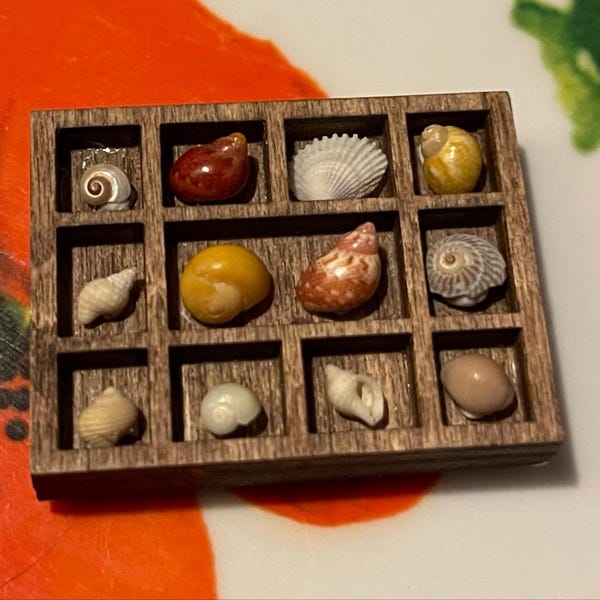 Heart - Mini Curio Shelf - Etsy