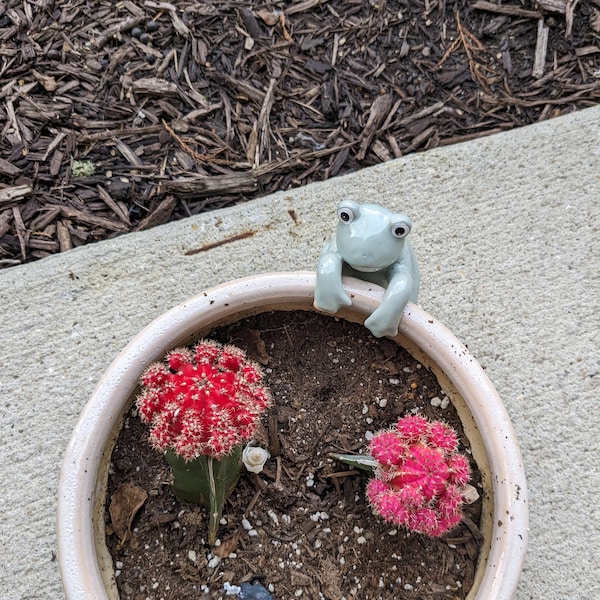 Frog Pot Hugger for Succulent Planter • Gardening Gifts • Outdoor Decor ...