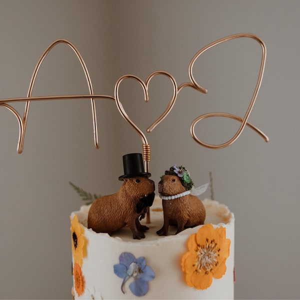 Capybara Cake Topper Cake Topper Party Decoration Party Animal Party ...