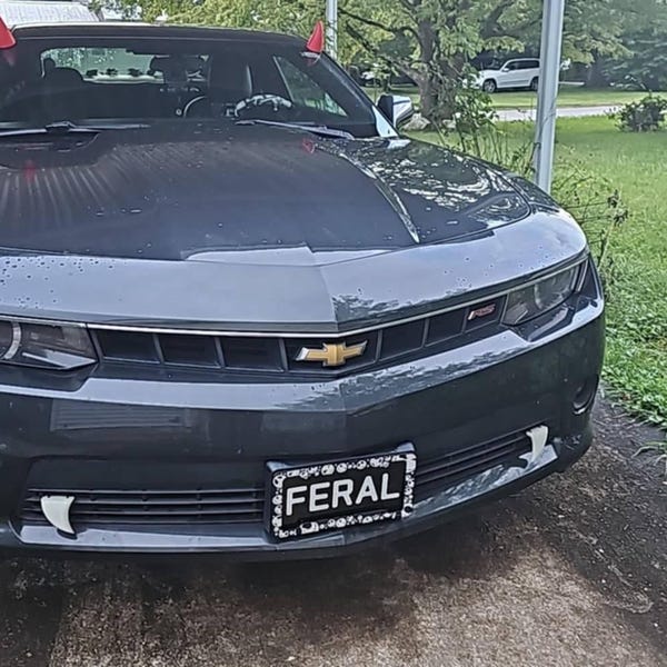 Universal Car Vampire Teeth / Bumper Fangs / Halloween Car Decoration ...