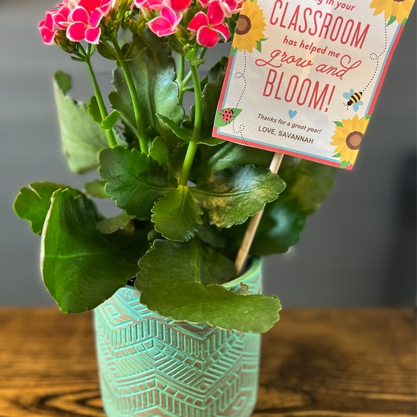 Bloom in Your Classroom Teacher Gift Tag Printable, Teacher ...