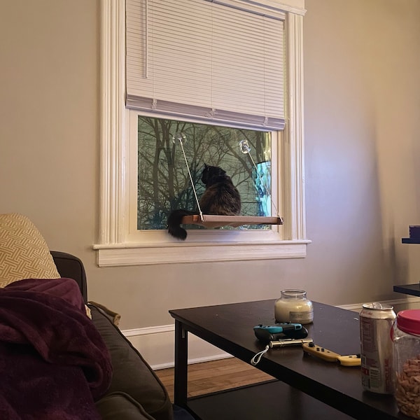 Cat Window Perch, Cat Window Hammock, Cat Window Ledge, Cat Window Bed ...