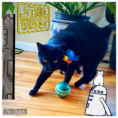 Custom C Series Droid Panels - Etsy