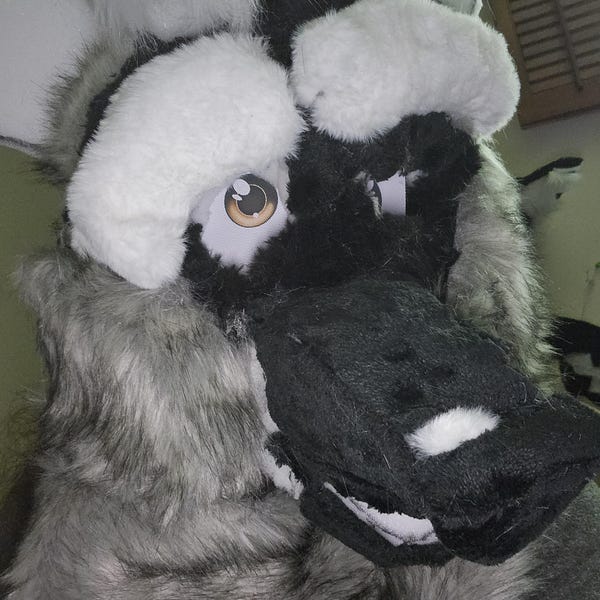 Protogen Furry Reference Sheet/template - Etsy