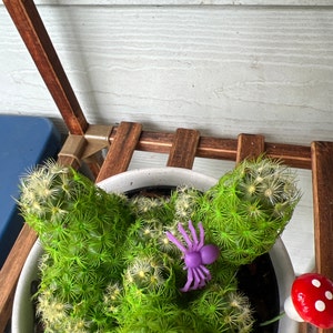 Mini Wizard House 7 Wizard Shack Fairy Garden - Etsy