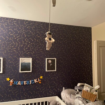 Dinosaur Ceiling Fan Pull Chain Brontosaurus Fan Pull Children's ...