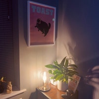 Pink Toast Cat Wall Print, Black Cat Wall Art, Cat Lover Gift, Digital ...